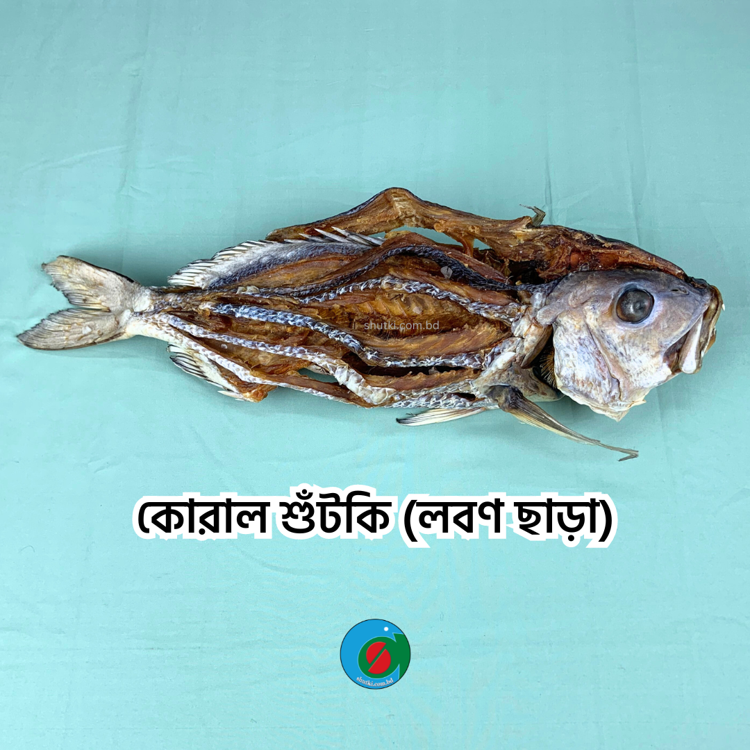 রূপচাঁদা শুঁটকি (সাদা-বড়) – Shutki